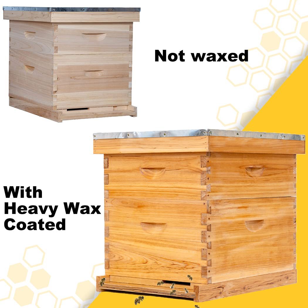10-Frame Beekeeping Hive Kit - gostartbeekeeping.com